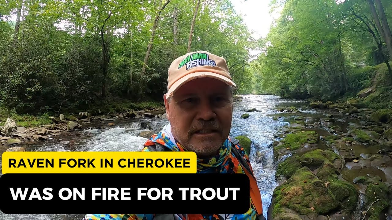 Trout Fishing Raven Fork In Cherokee, N.C. - YouTube