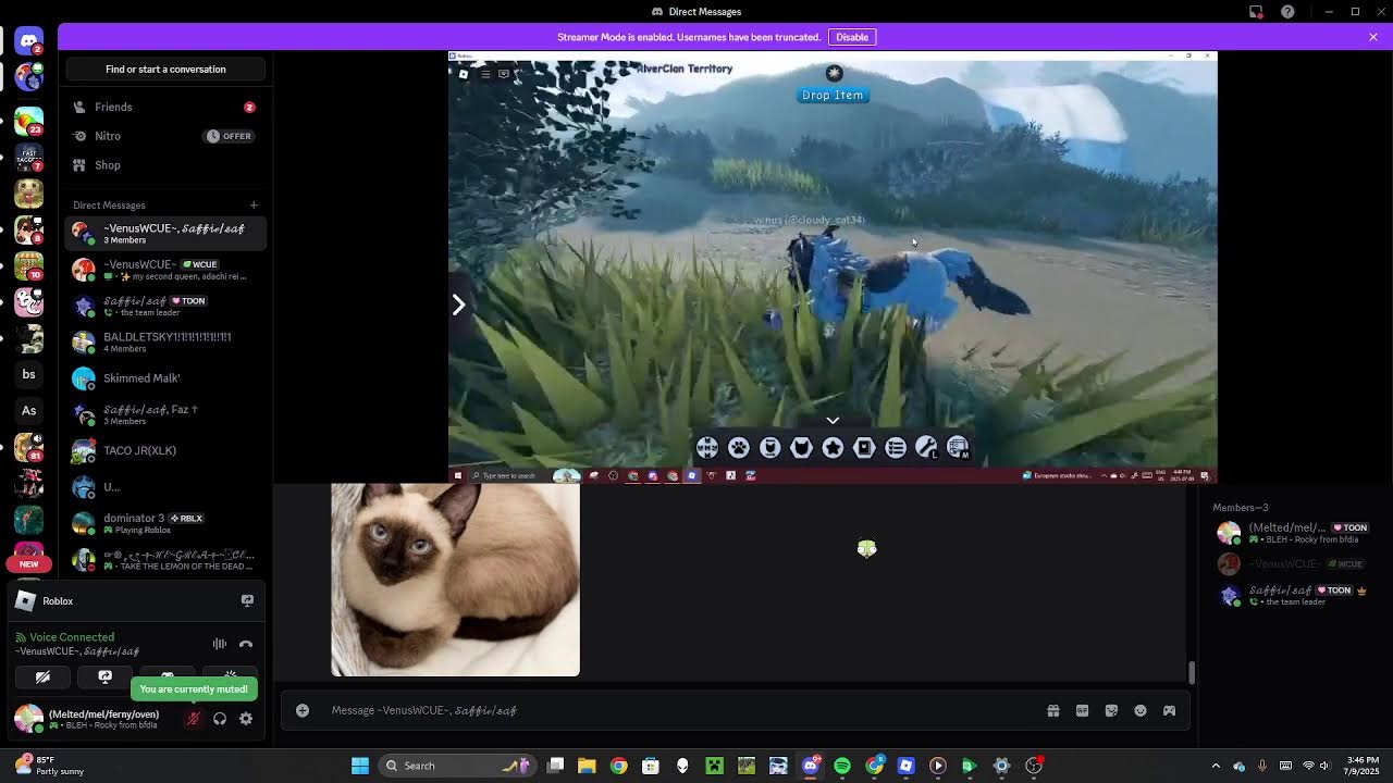 INVERTED CAT CHALLENGE WITH MY FRIENDS... - YouTube