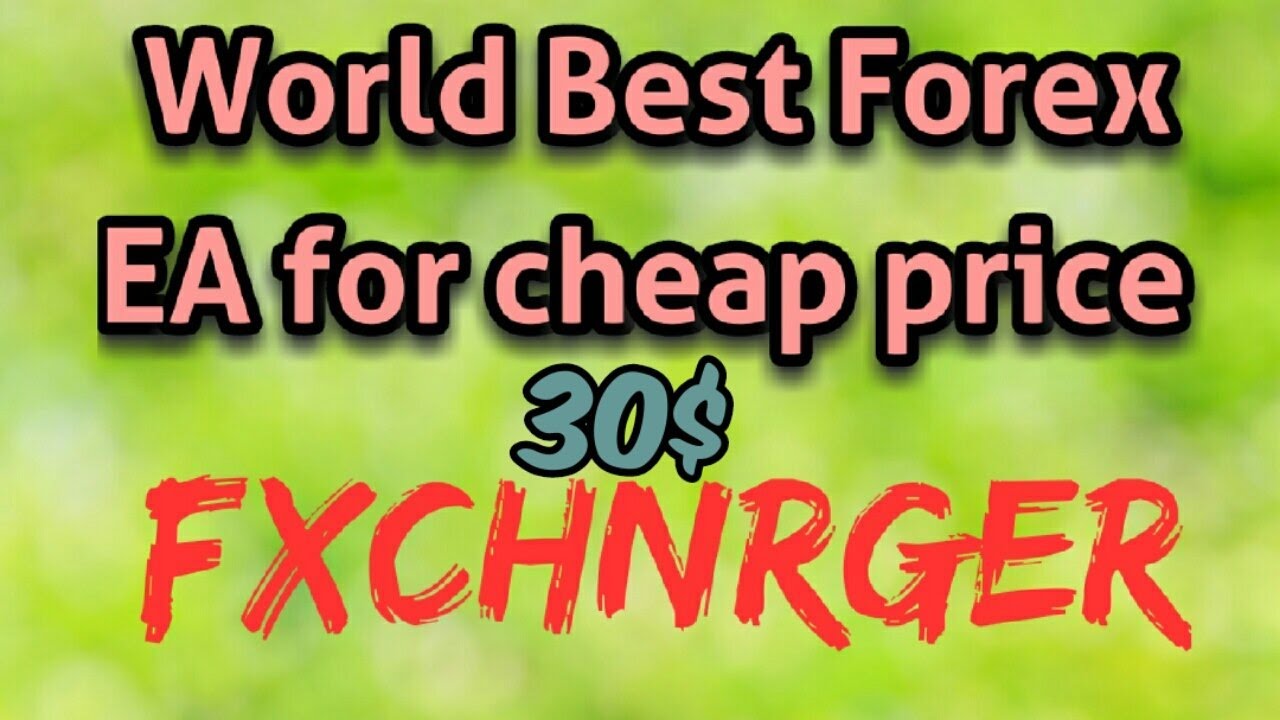 best foex broker: BEST PROFITABLE EA FXCHNRGER - YouTube