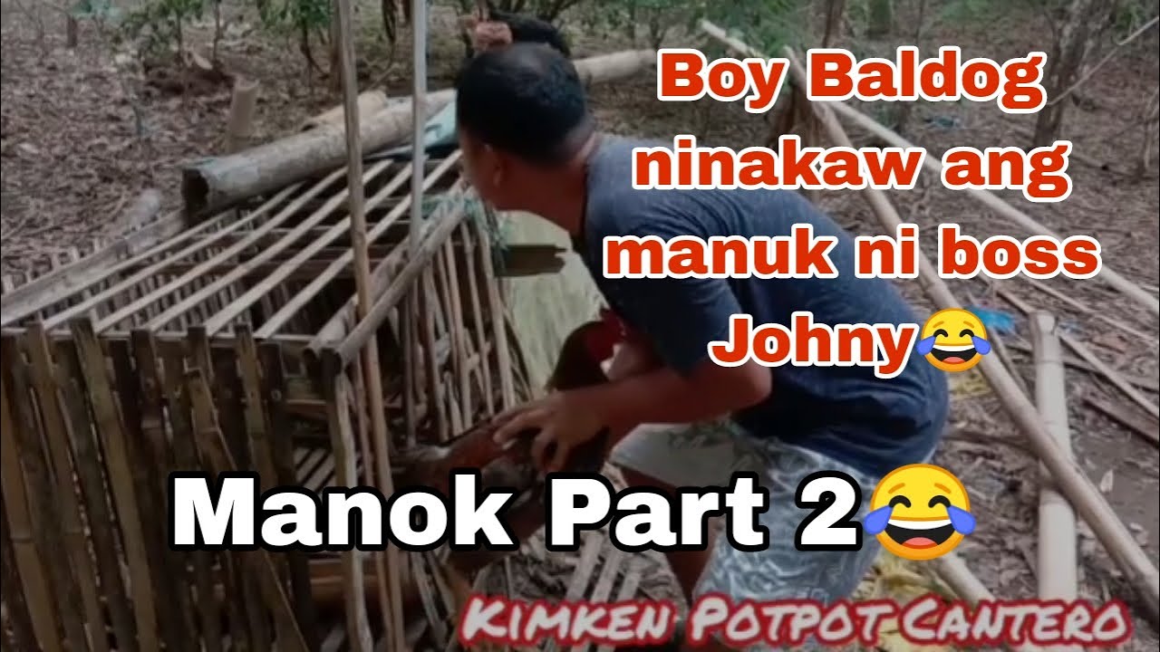 Manok Part 2😂 Boy Baldog ninakaw ang manok ni boss Johny😂 - YouTube