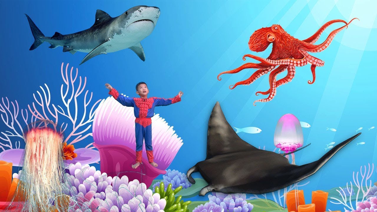 Learn Sea Animals Names For Children with Baby Learning Animals ...