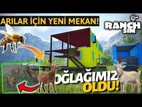 YENİ GÜNCELLEME NASIL YAPILIR? - BAL FİYATI NE KADAR? / ARILAR'A YENİ MEKAN! | RANCH SIMULATOR #31