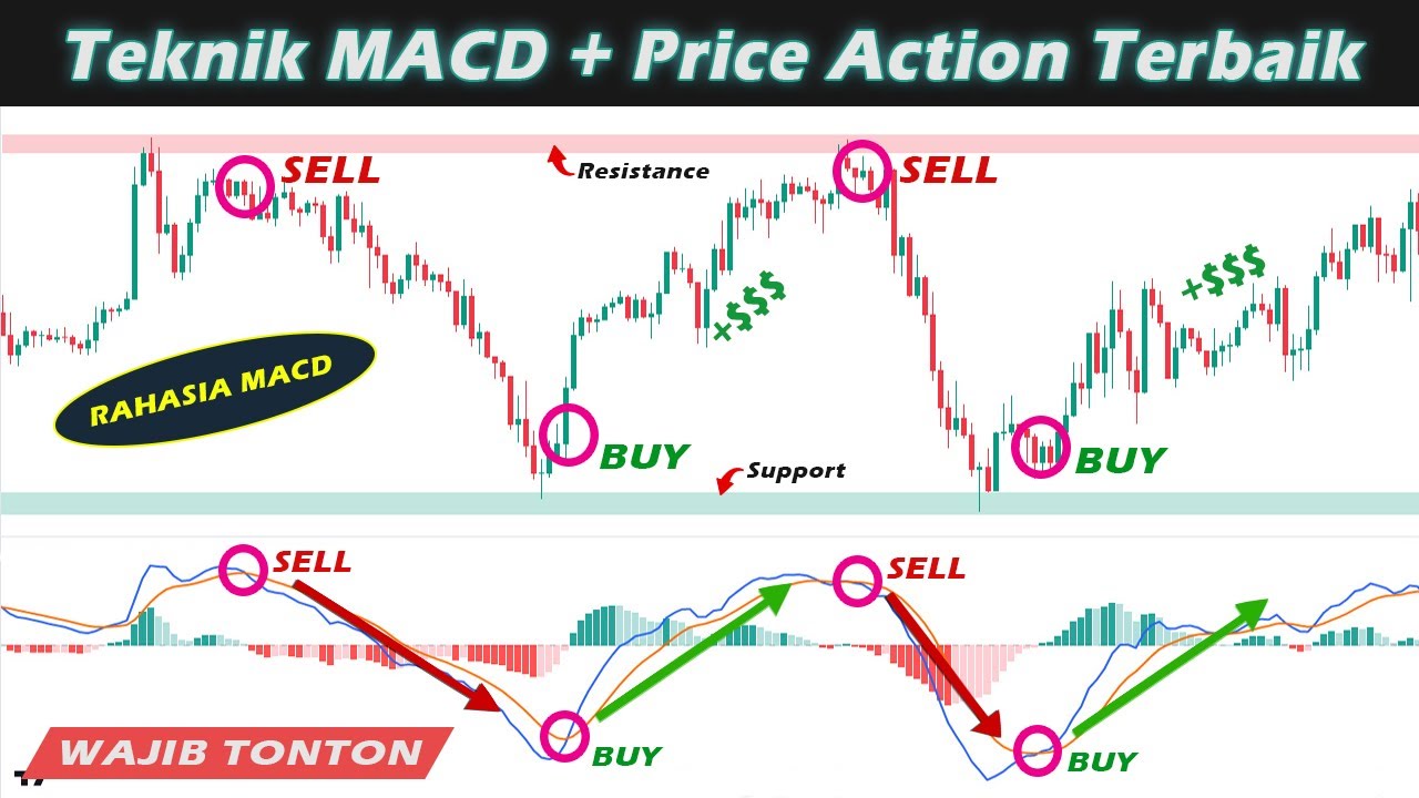 Strategi Scalping MACD + Price Action Terbaik Akurat, Profit Konsisten || Teknik MACD Pemula ...