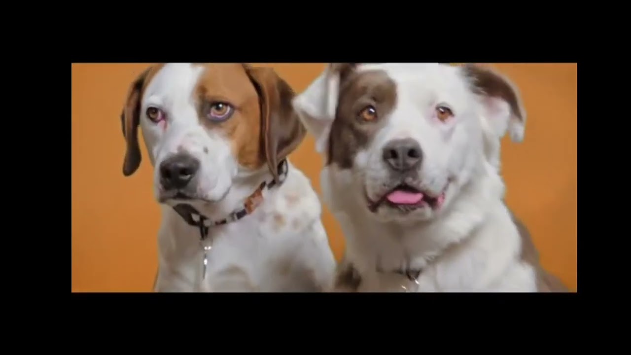 Cartoon Network Commercial Break Thursday July 25 2024 (Part 2) - YouTube