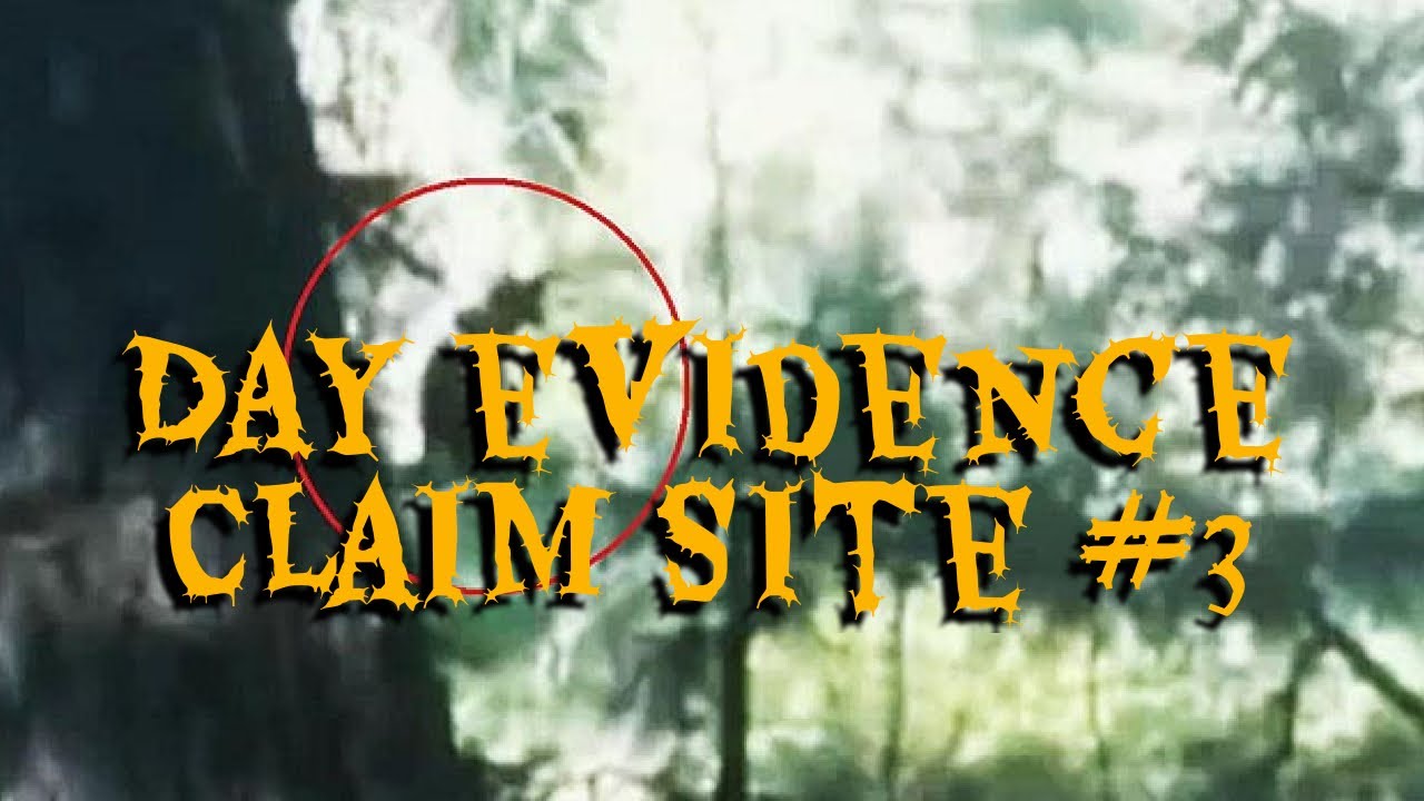 #bigfoot Looking for evidence at Claim #3 before night hunt - YouTube