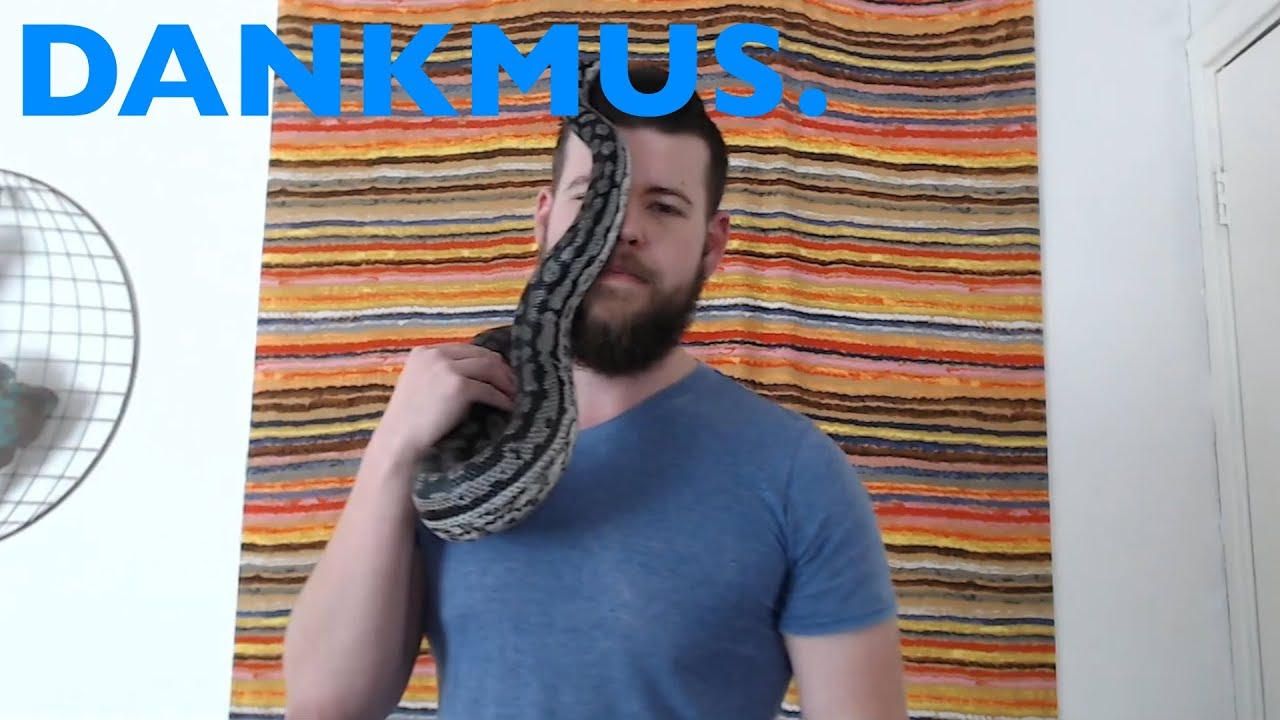 YouTube kinda stinks. My experience being a small weird channel on ...