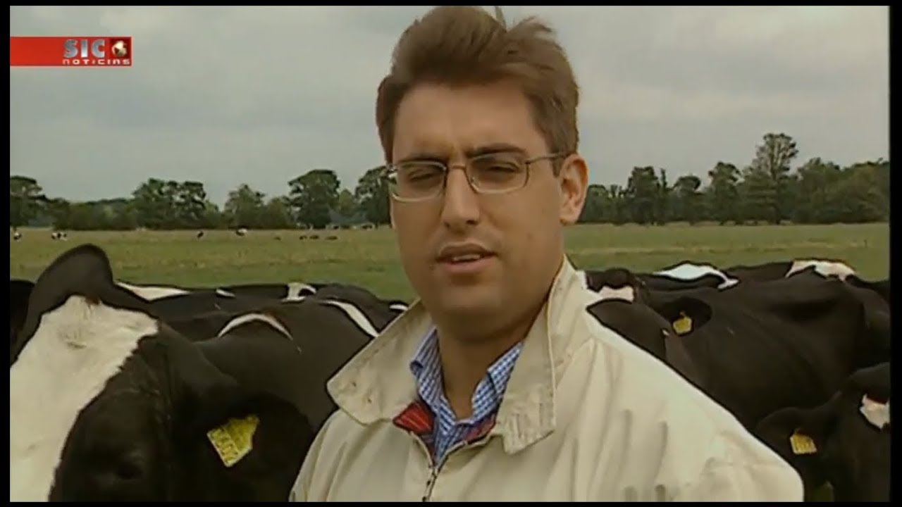 Best of Nuno Luz - YouTube