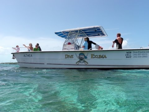 Exuma Snorkeling 2013 - YouTube