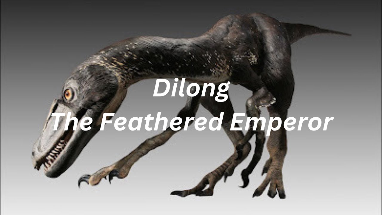 Paleo Log: Dilong - YouTube
