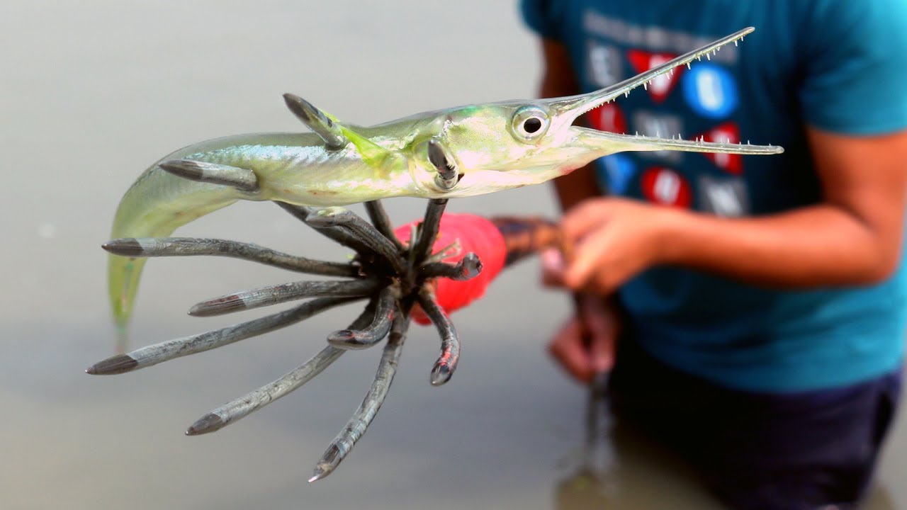 Unique tata fishing // গ্রামে টেটা দিয়ে মাছ শিকার - YouTube