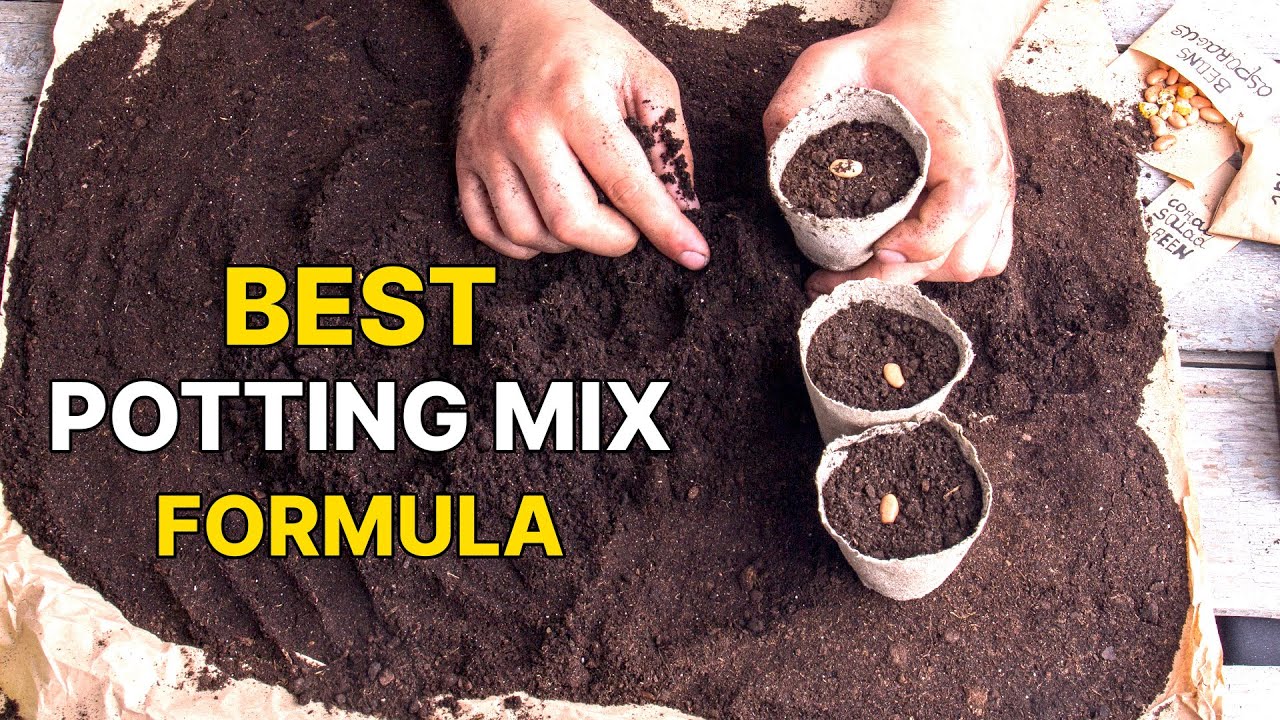 EASY FORMULA - HOW TO MAKE POTTING MIX FOR PLANTS? - YouTube