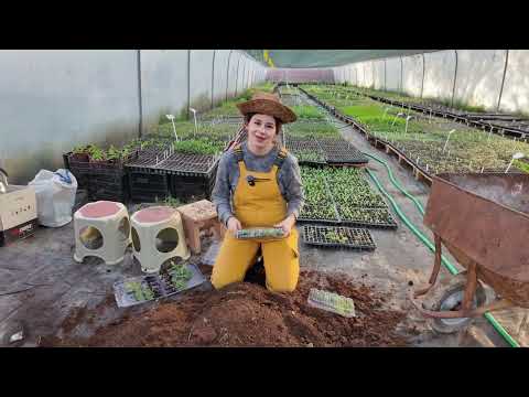 SIFIRDAN BALKON BAHÇECİLİĞİ ÖĞRENİYORUZ  🌸 (farmerlife)