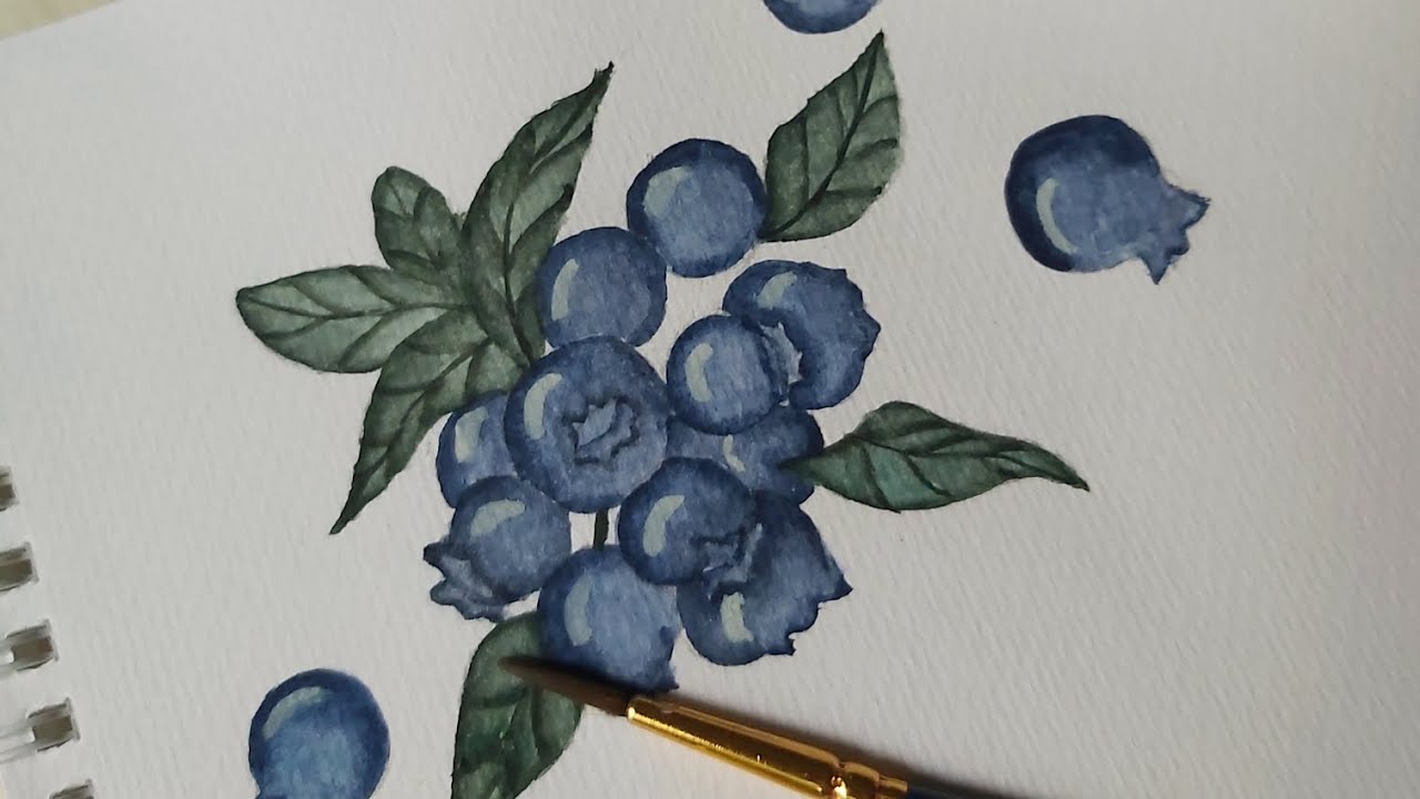 How To Paint Blueberry In Watercolour | Watercolour Fruits Illustration ...