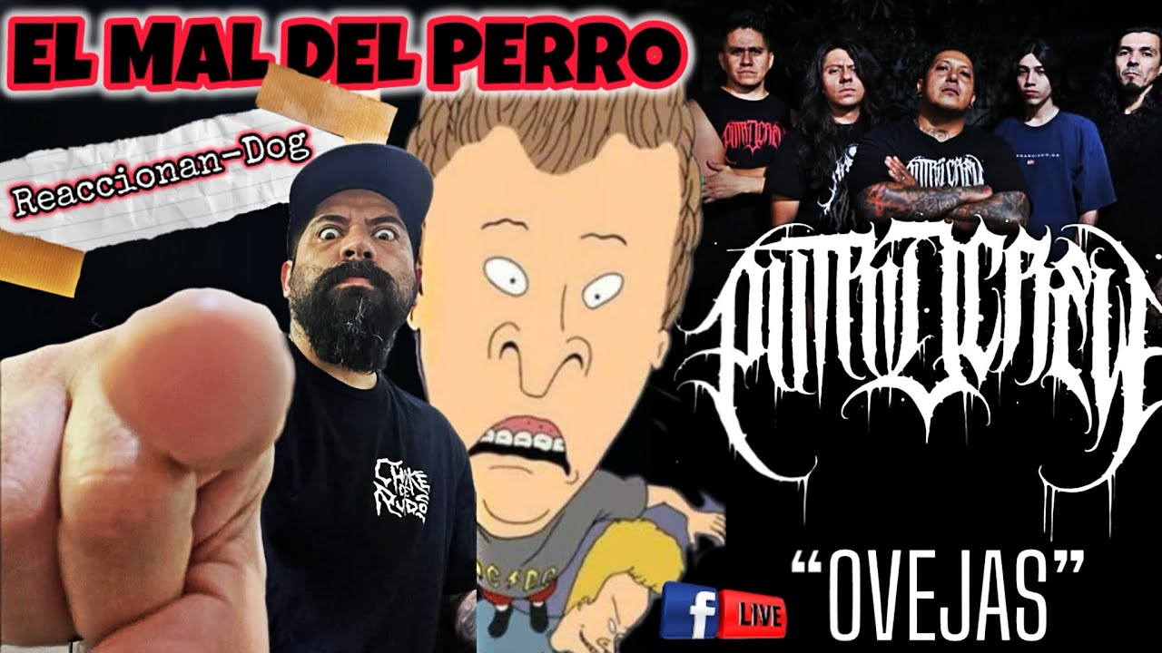 PUTRID CREW - Ovejas 🇲🇽 (Perro Negro - Reaccionandog) - YouTube