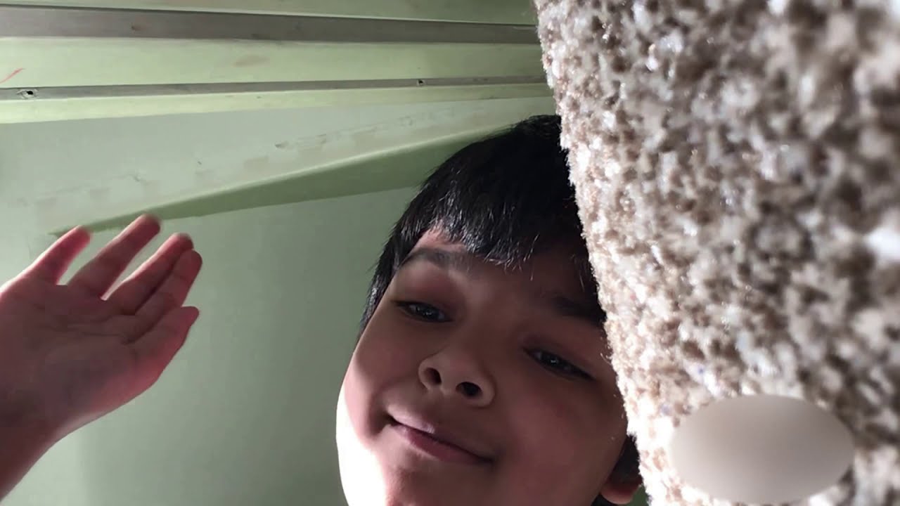 FACE REVEAL AS A KID - YouTube