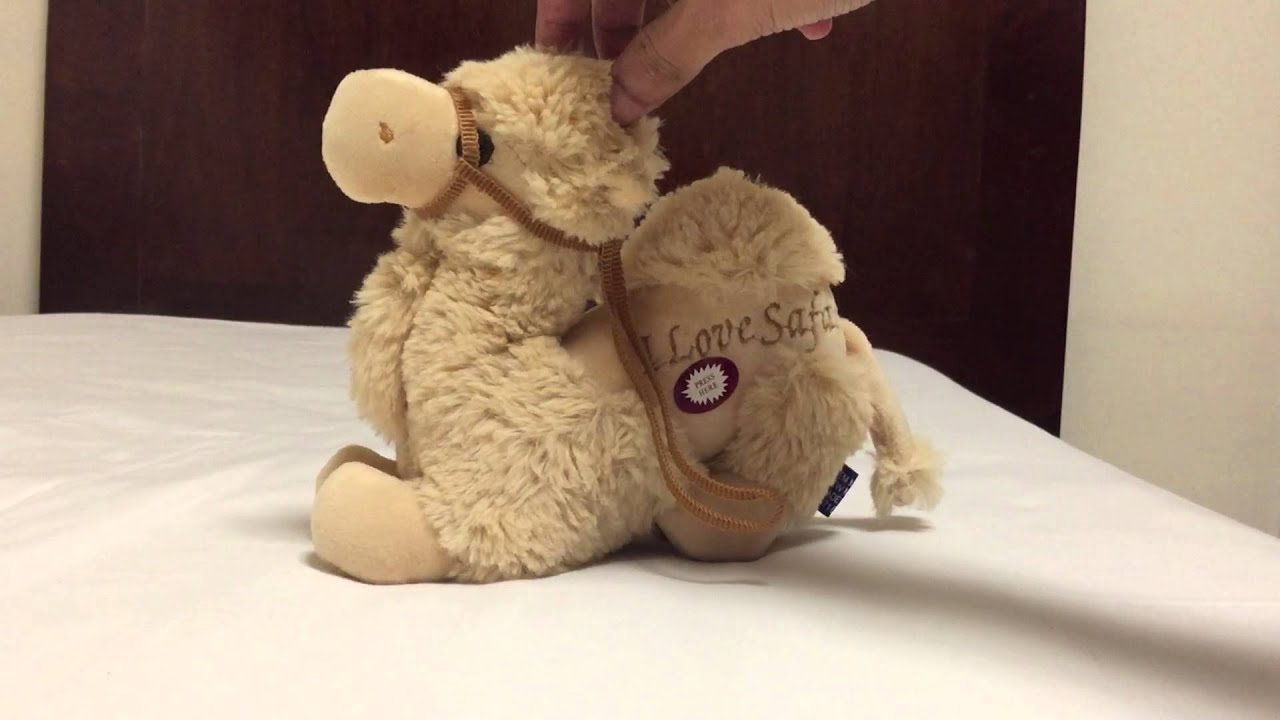 Singing camel ;) :D - YouTube