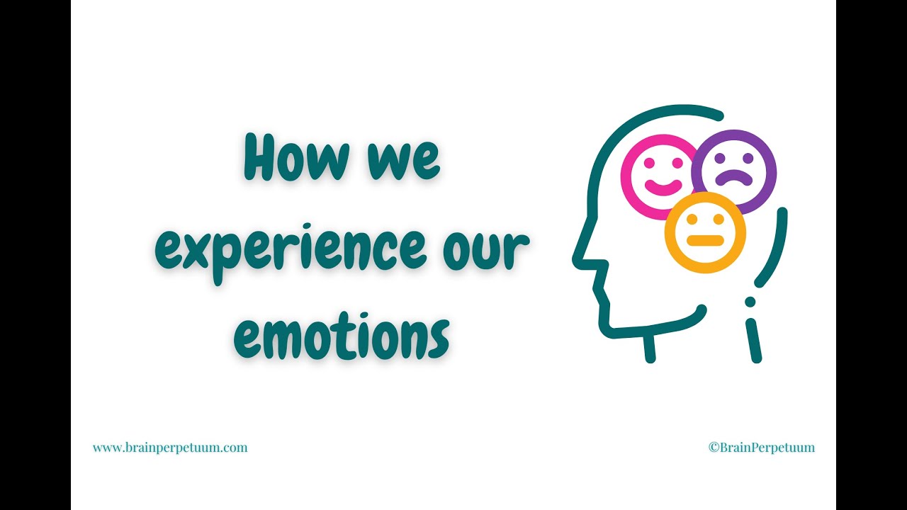 How we experience our emotions? by BrainPerpetuum - YouTube