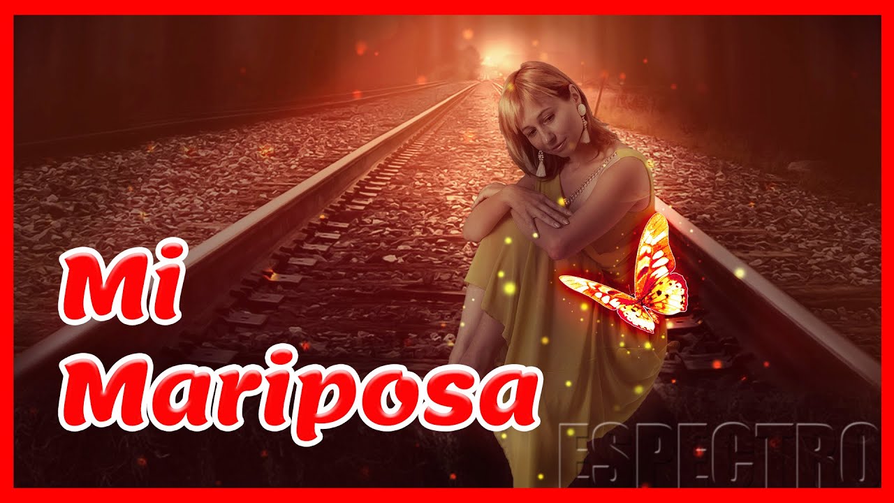 Mi MARIPOSA de AMOR 🦋 Sonetos de amor - YouTube