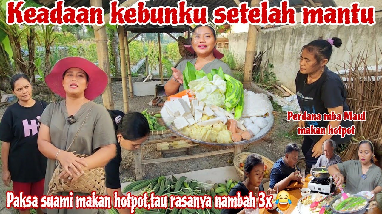 Keadaan Kebunku Setelah Mantu⁉️ Panen Bermacam Sayur And Buah Di Samping