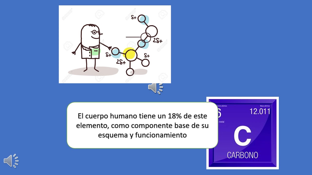 Los Bioelementos y funciones en el cuerpo humano - YouTube