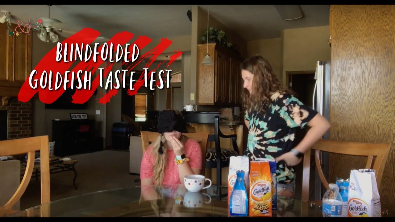 The Lauren and Miranda Show: Blindfolded Goldfish Taste Test - YouTube