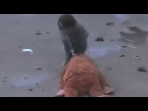 monkey punch-sadece sevilmek istedim 