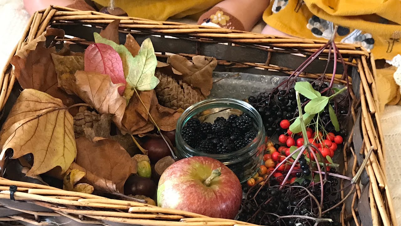 Theme Thursday Autumn 🍂🐿🐿🐿🐿🐿🐿🦡🦡🦡🦡🐇🐇🐇🐇🐇🍁🍂🍁🍂🍁🍂🍁 - YouTube