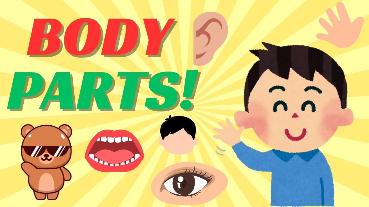 Learn Body Parts| Body Parts Video for Kids |Educational Videos for ...