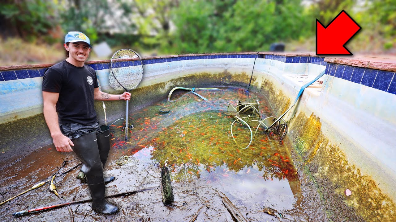 Saving FISH from ABANDONED POOL! (Rescue Mission) - YouTube
