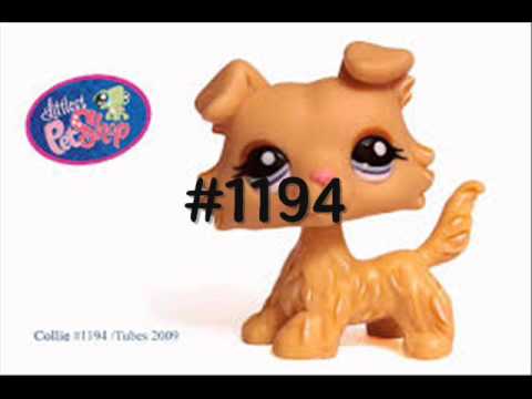 LPS: Collies and their sets / Collie i ich zestawy - YouTube