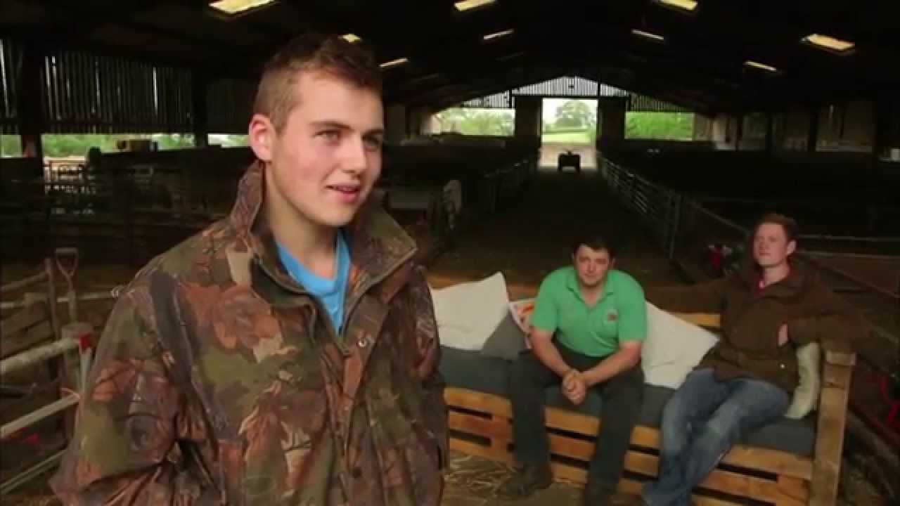 Fferm Ffactor - Brwydr y Ffermwyr : Tîm Rhys - YouTube