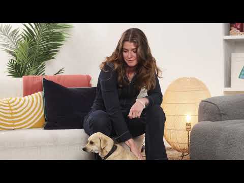Tuggs Testimonial / Annabel & Butter