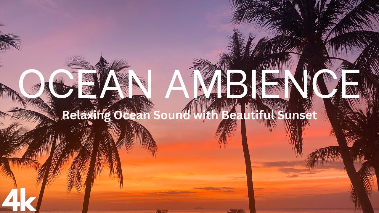 Ocean Ambience, Calming Sea Waves for Relaxation - YouTube