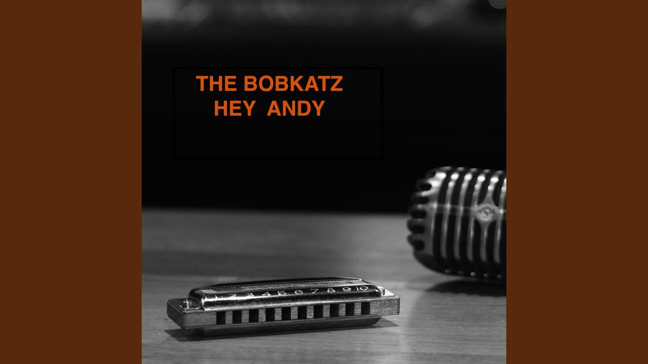 Hey Andy - YouTube Music