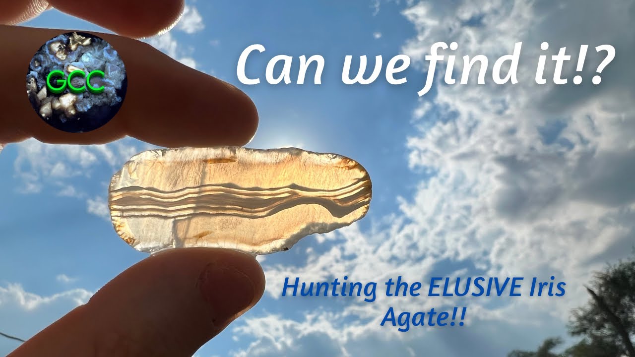 Can we find it!? | Hunting the ELUSIVE Iris Agate!! | Cutting Montana ...