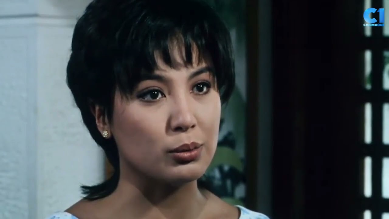 Sharon Cuneta's hugot line. I was never your partner. I'm just your ...