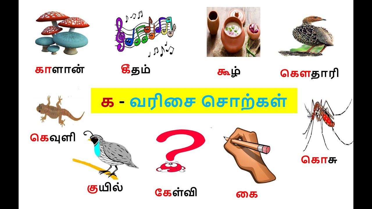 க வரிசை சொற்கள் (பகுதி - 1) | Ka Series Words (Part1)| Kids Learning ...