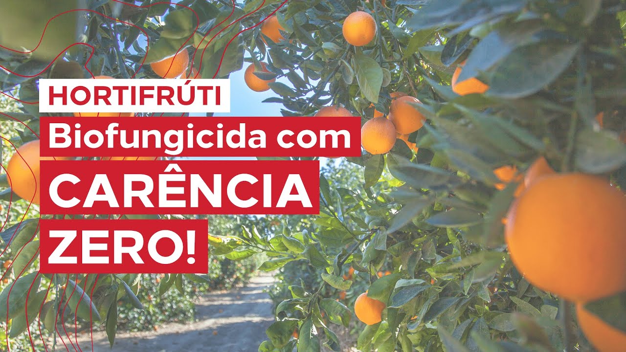 ECO-SHOT, o primeiro fungicida biológico PÓS-COLHEITA | IHARA - YouTube
