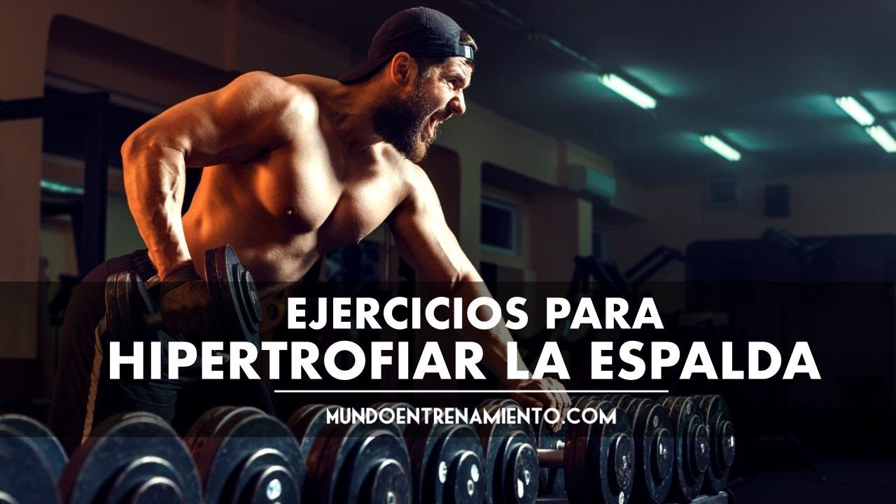 7 ejercicios para HIPERTROFIAR la ESPALDA [2022] - YouTube
