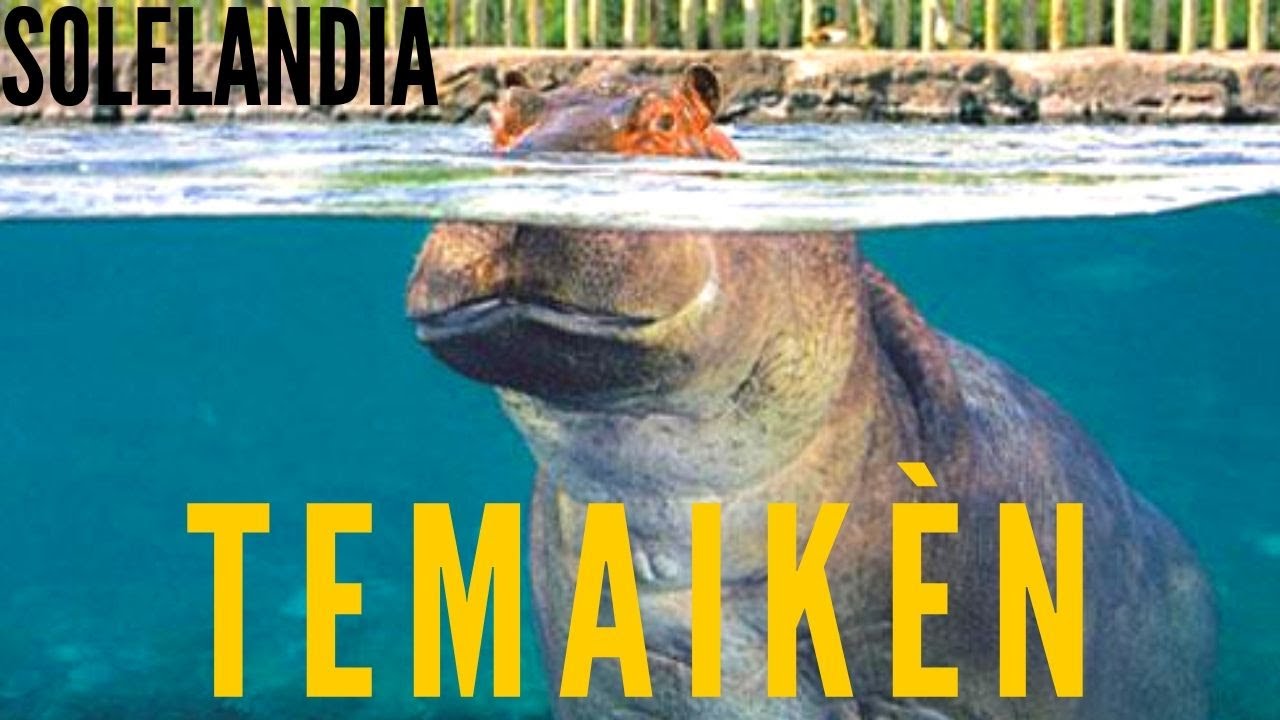 TEMAIKÉN - EL BIOPARQUE DE ARGENTINA - YouTube