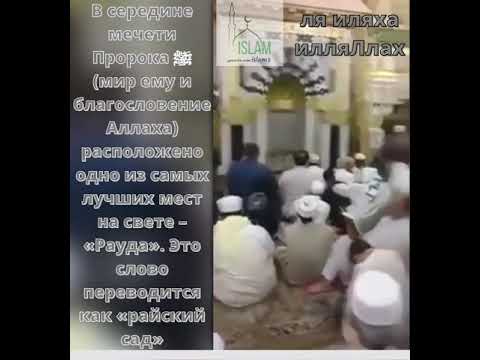 Рауда - райский сад на земле. Дом пророка Мухаммада ﷺ мир ему и благословение Аллаха.