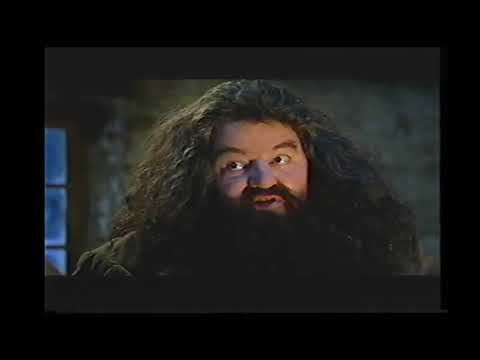 Opening To Willy Wonka And The Chocolate Factory 2002 VHS - YouTube