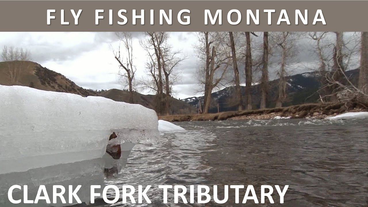 Fly Fishing Montana's Clark Fork Tributary in Spring [Episode #38 ...