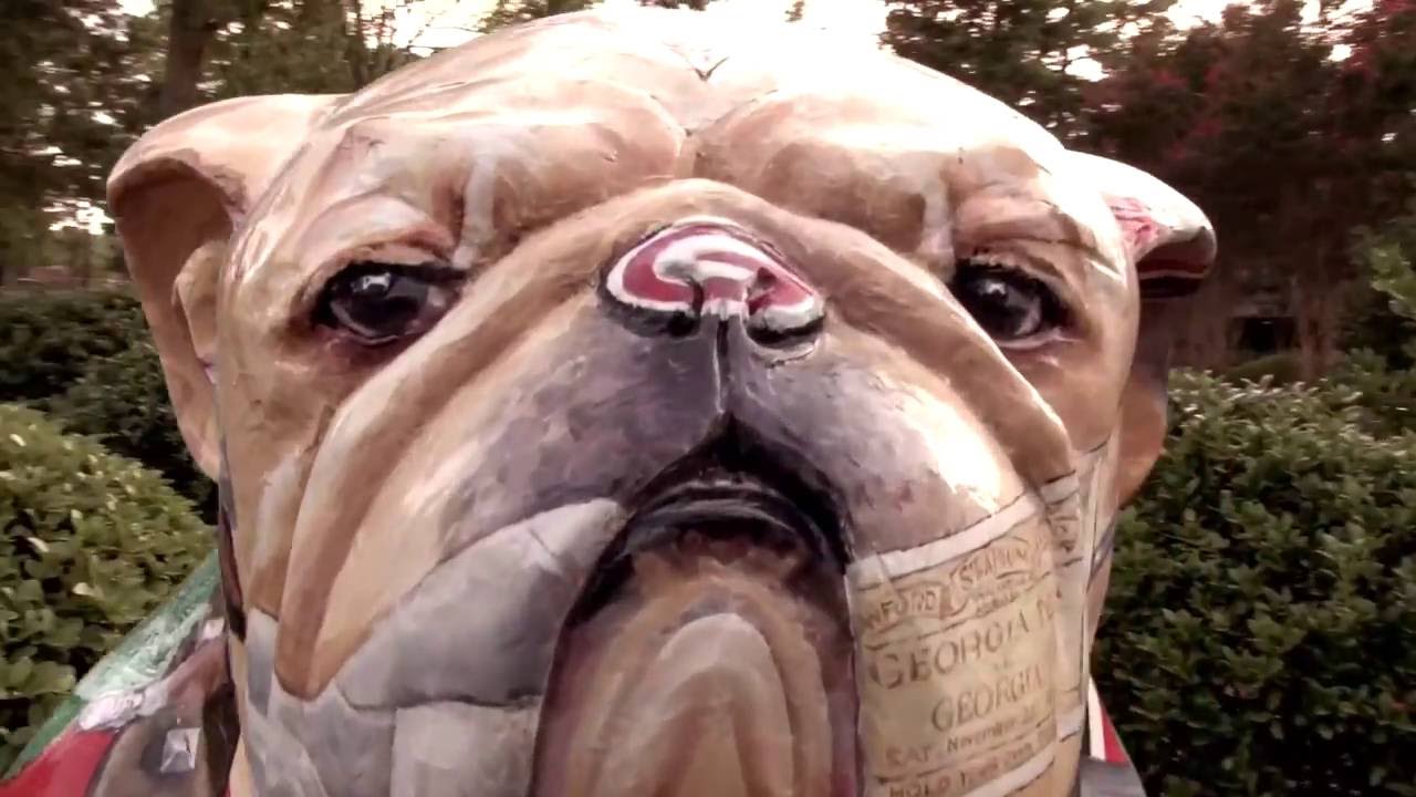 The Bulldog Song -- Chip Carter (Old Version) - YouTube