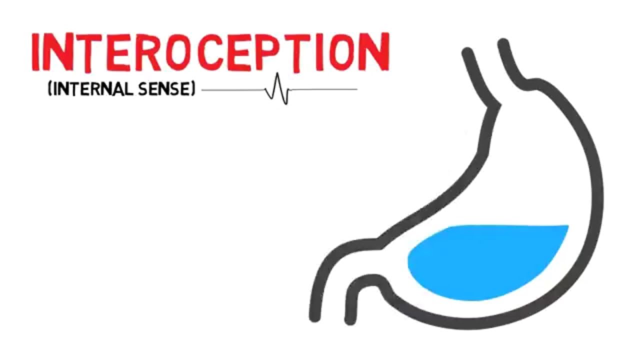 What is Interoception? (internal sense) - YouTube