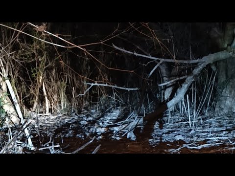 Terrenos de la bruja Lupe 🧙‍♀️ - YouTube