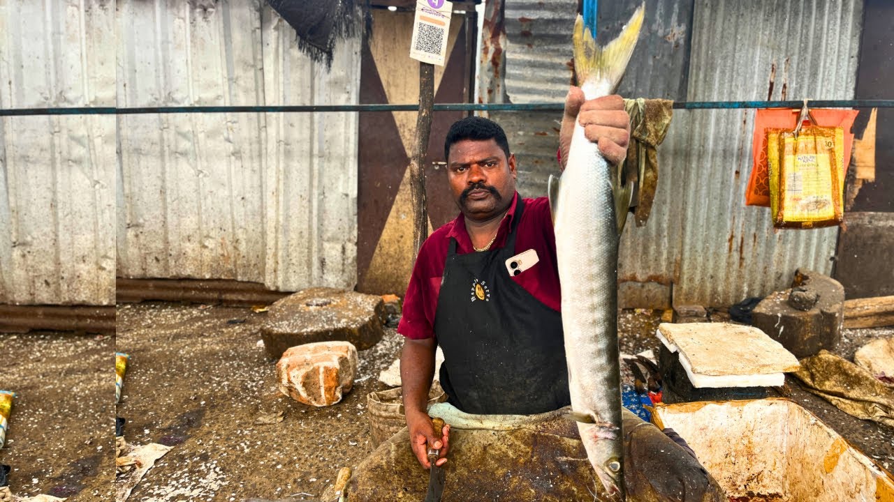 SHEELA BARRACUDA FISH CUTTING BY SPEED SELVAM | HD VIDEO | IN KASIMEDU ...