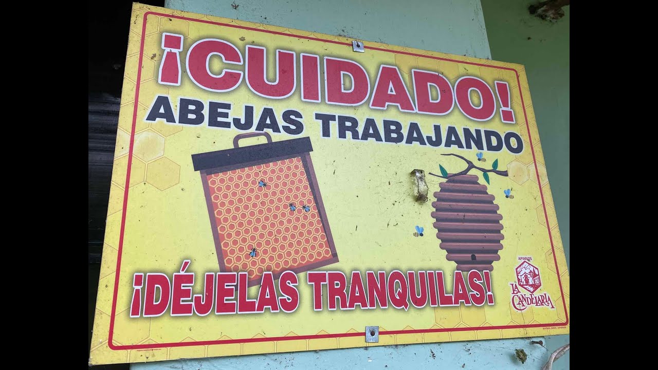 Apiarios 'La Candelaria': una dulce tradición desarrollada durante ...