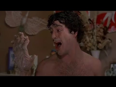 An American Werewolf in London: First werewolf transformation (HD CLIP)