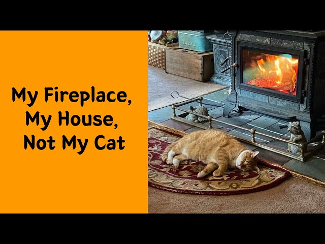 House Fire Cat Memes Family In Waianae Loses 7 Pets In A House Fire